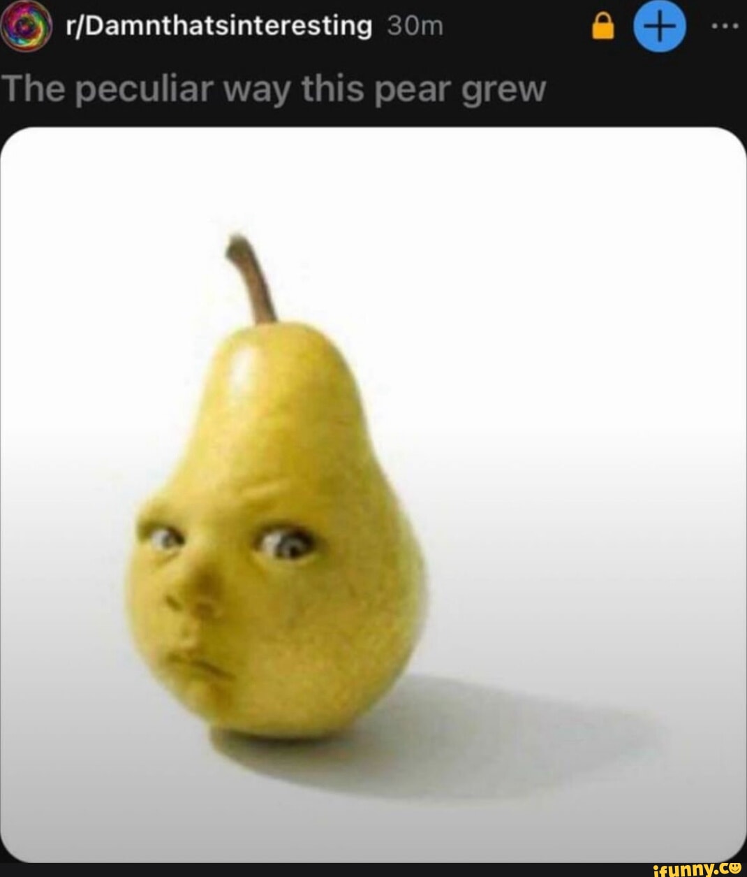 The peculiar way this pear grew - iFunny