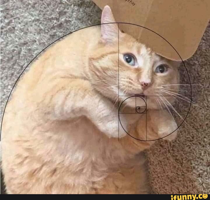 Goldenratio memes. Best Collection of funny Goldenratio pictures on iFunny