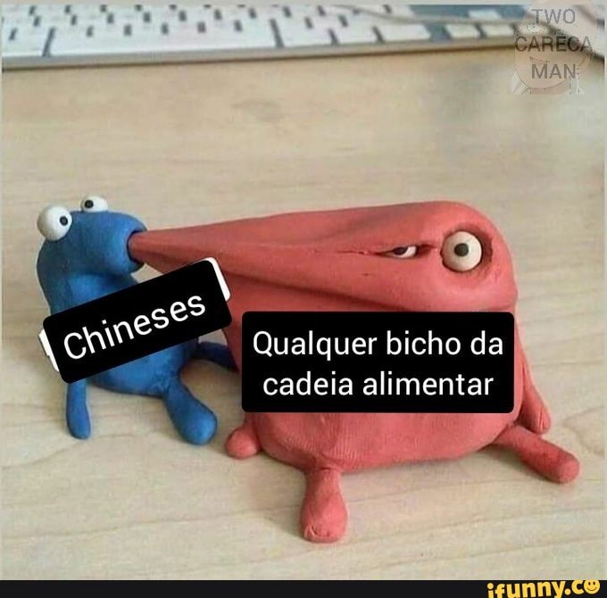 Come todo bicho - Qualquer bicho da cadeia alimentar I' fe - iFunny