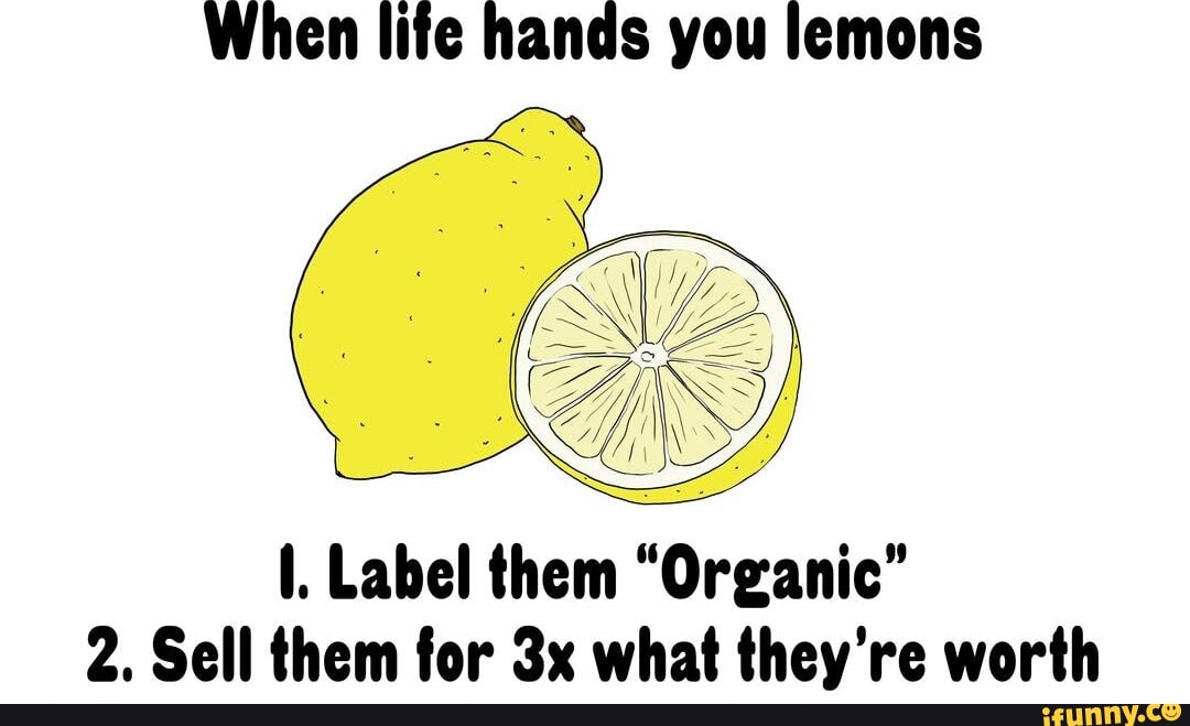 Memes de vídeo oaP6SVfuA por FefoBolaGato - iFunny