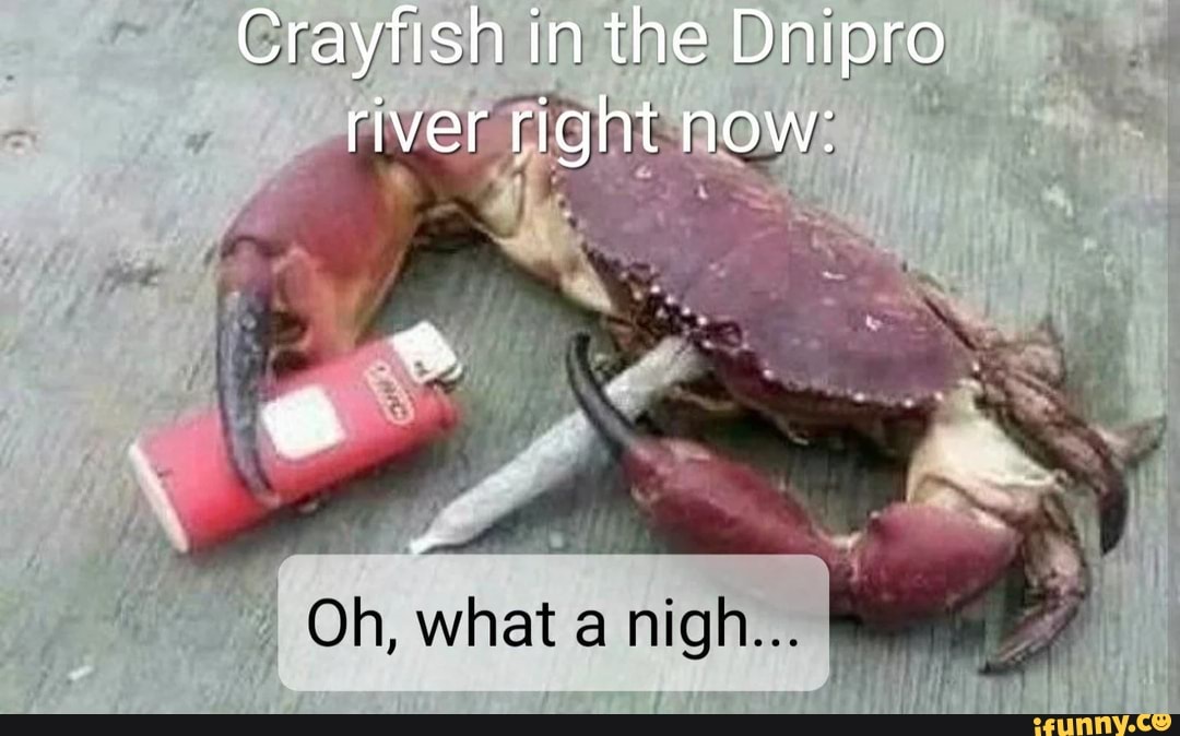 Crayfish memes. Best Collection of funny Crayfish pictures on iFunny