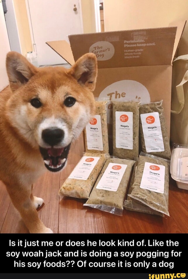 Pogging memes. Best Collection of funny Pogging pictures on iFunny