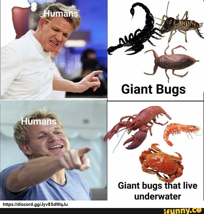 Humans Humans Giant bugs that live underwater - iFunny