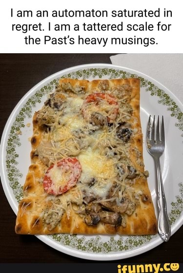 Lam an automaton saturated in regret. I am a tattered scale for the ...