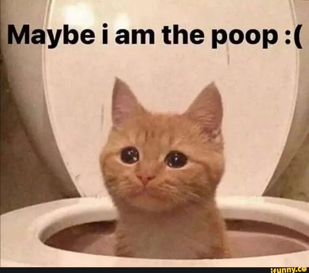 Maybe i am the poop - iFunny