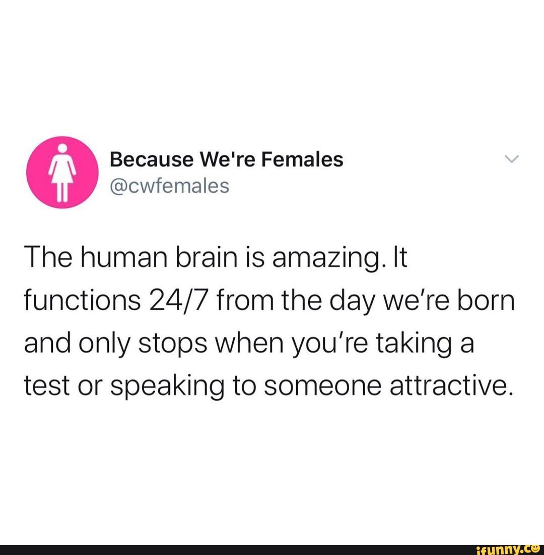 The human brain is amazing. It functions from the day we're born and ...