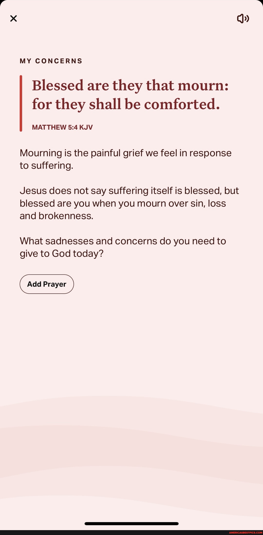 MY CONCERNS Blessed are they that mourn: for they shall be comforted ...