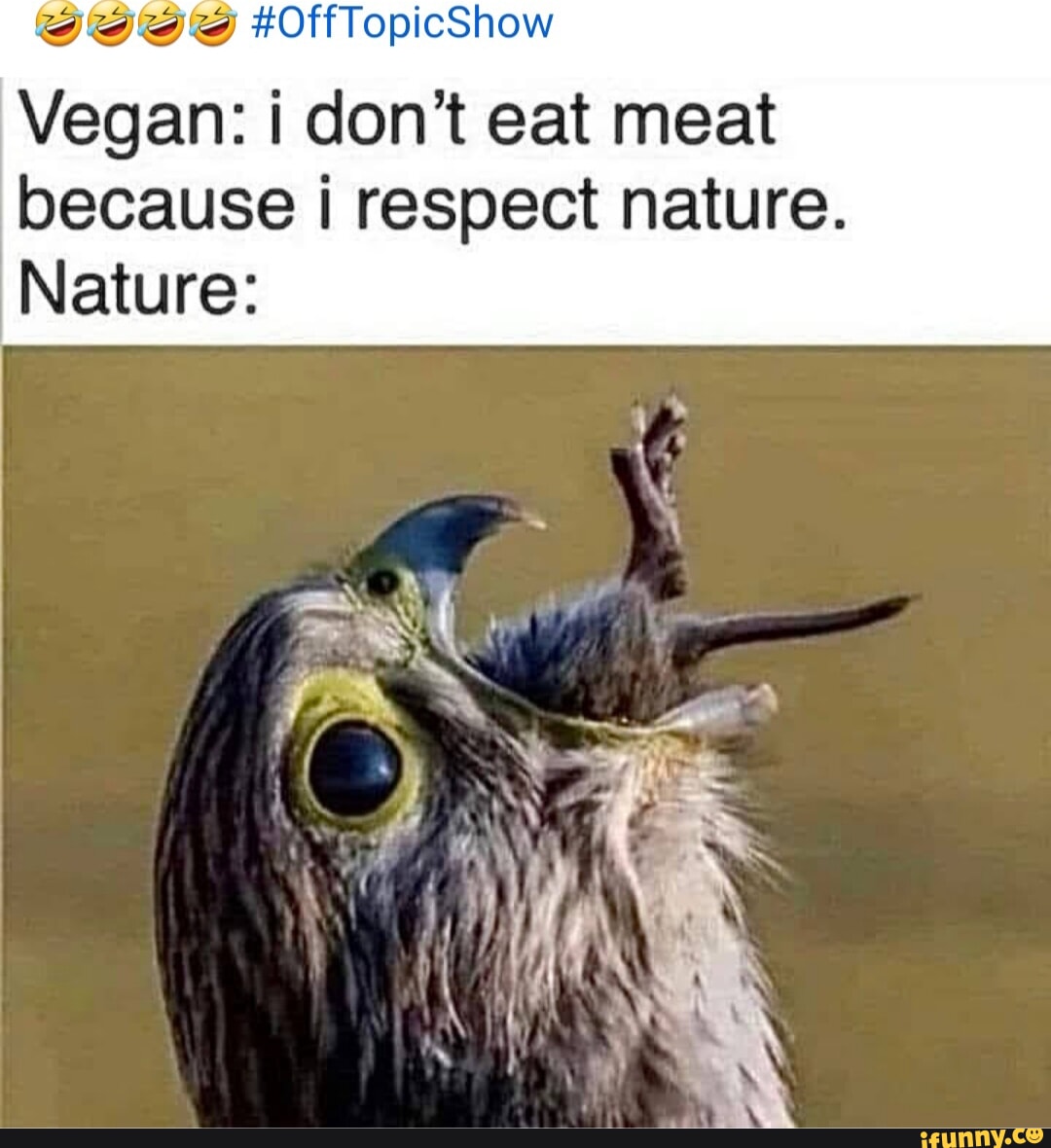 #0ffTopicShow Vegan: i don't eat meat because respect nature. Nature ...