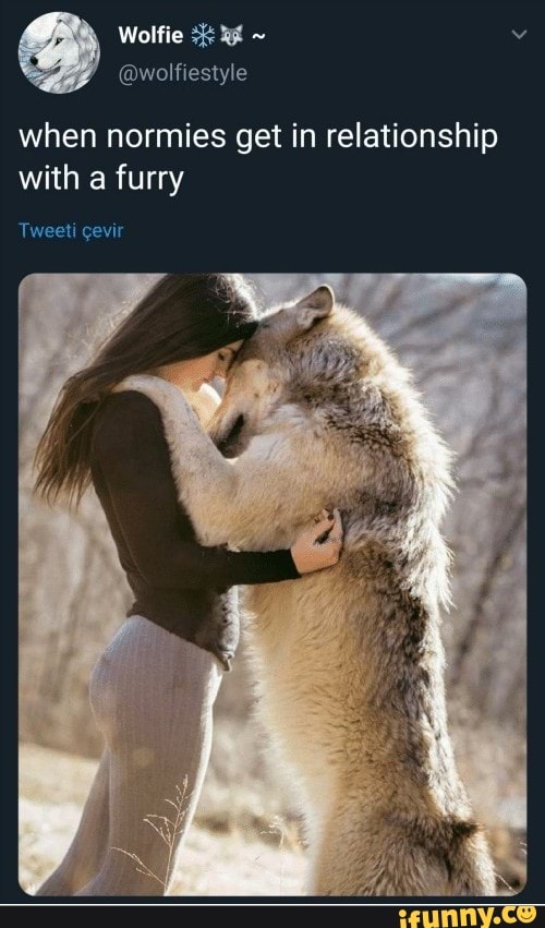 Wolfie Memes Best Collection Of Funny Wolfie Pictures On Ifunny