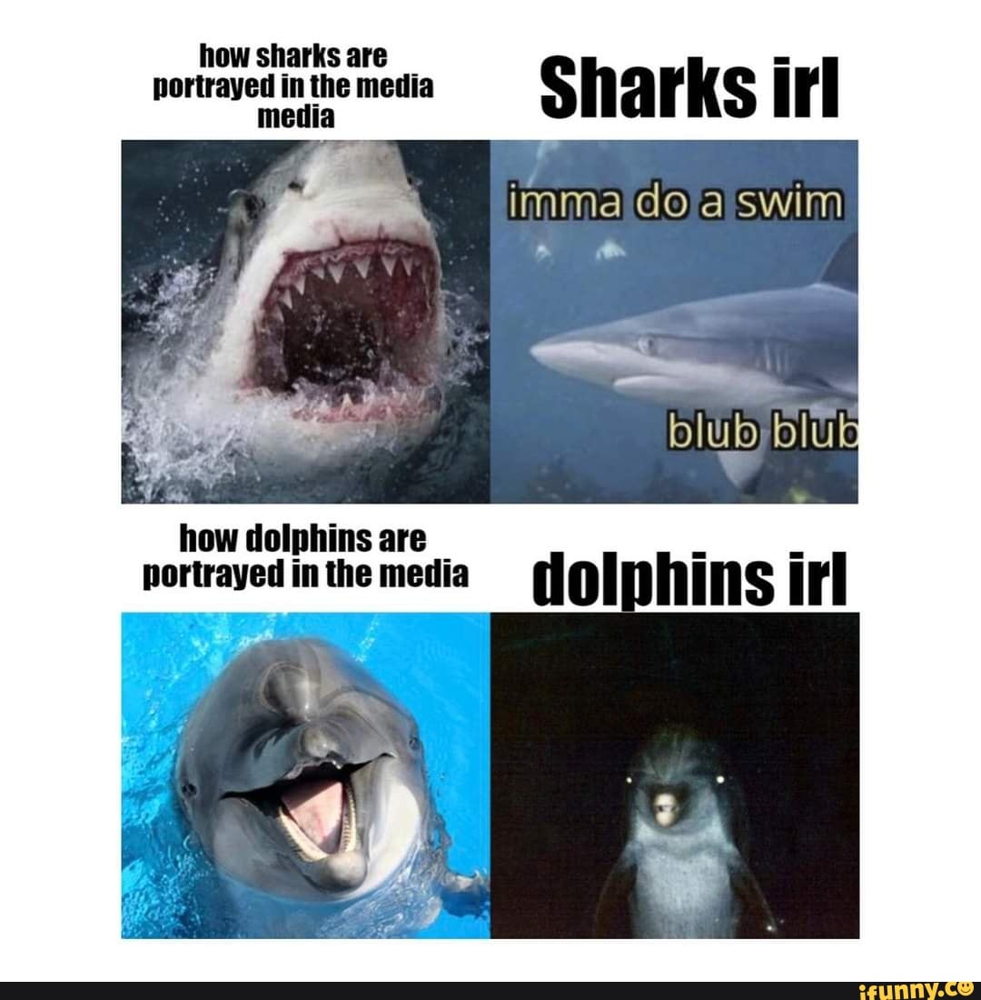 Hew shark Sharks irl doa blubyblul how dolphins are portrayed in the ...