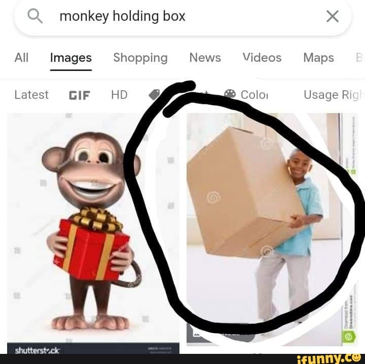 Monkey holding box x All Images Shopping News Videos Maps BB Latest GIF ...