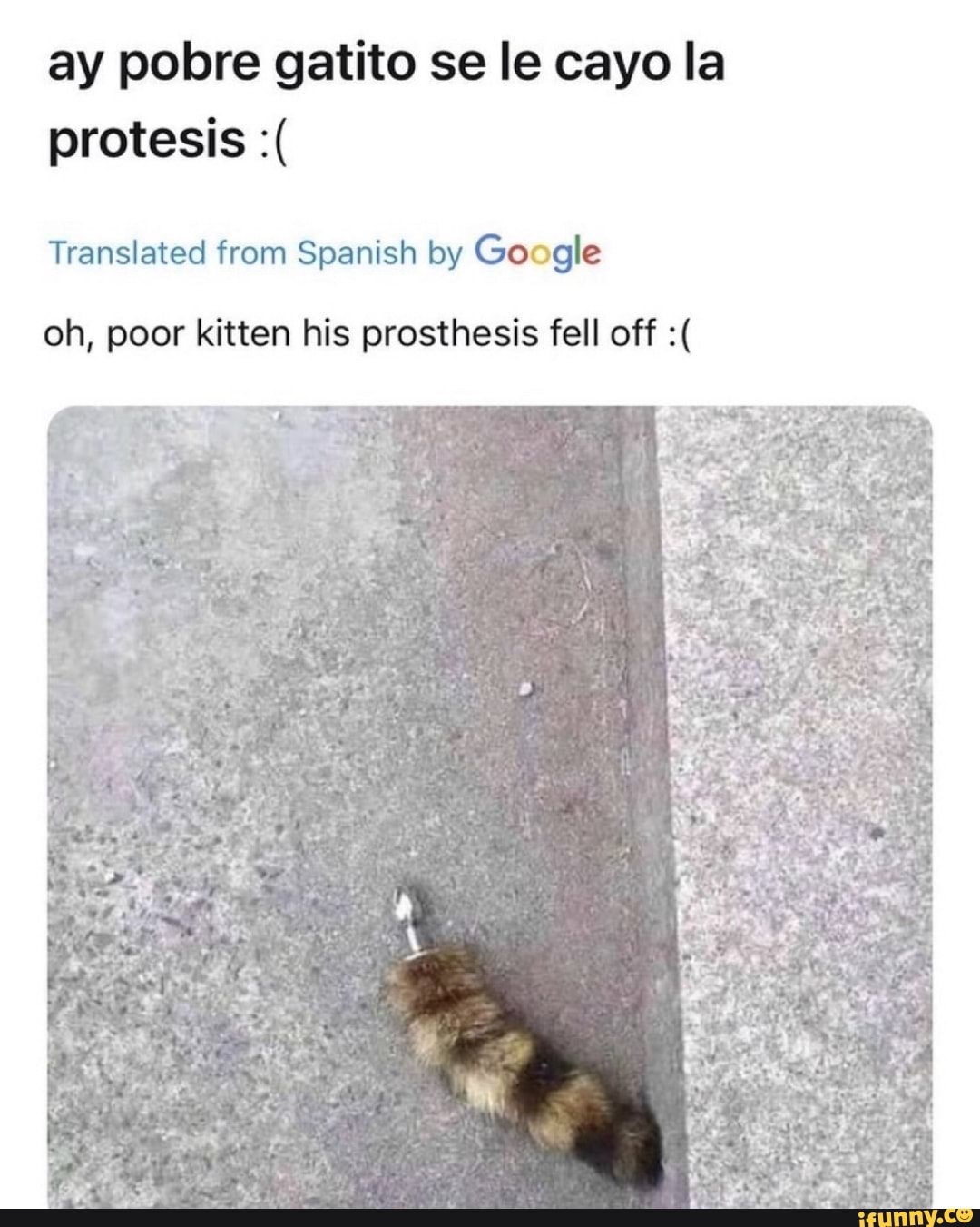 Memes De Protesis