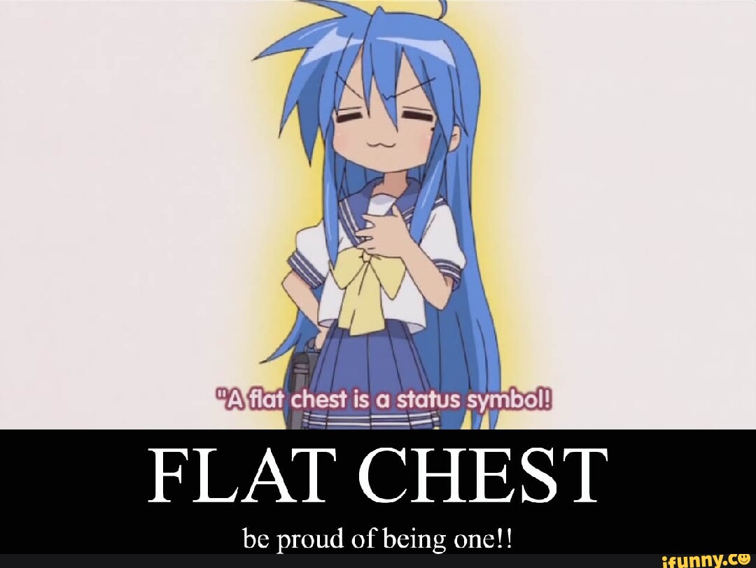 Chest is a status FLAT CHEST be proud of being one!! - iFunny