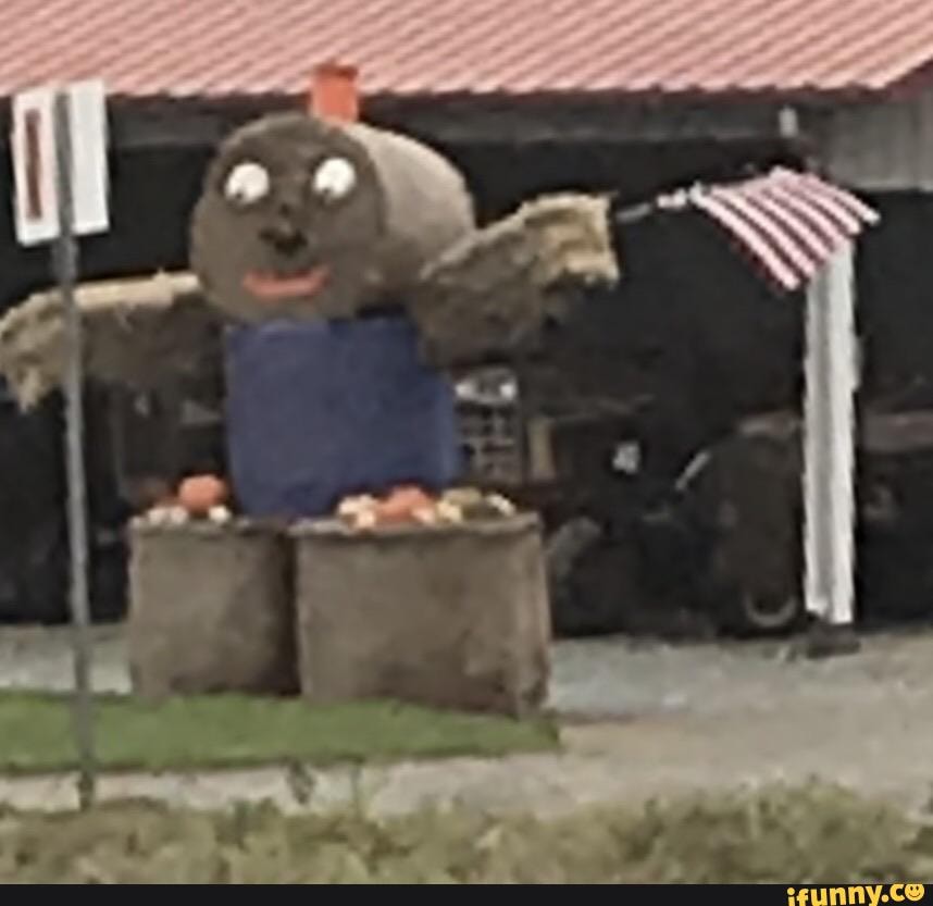 Cursed_farm memes. Best Collection of funny Cursed_farm pictures on iFunny