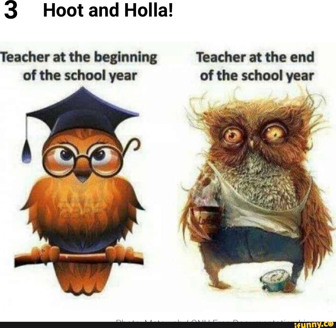 3 Hoot and Holla! Teacher at the beginning Teacher at the end of the ...