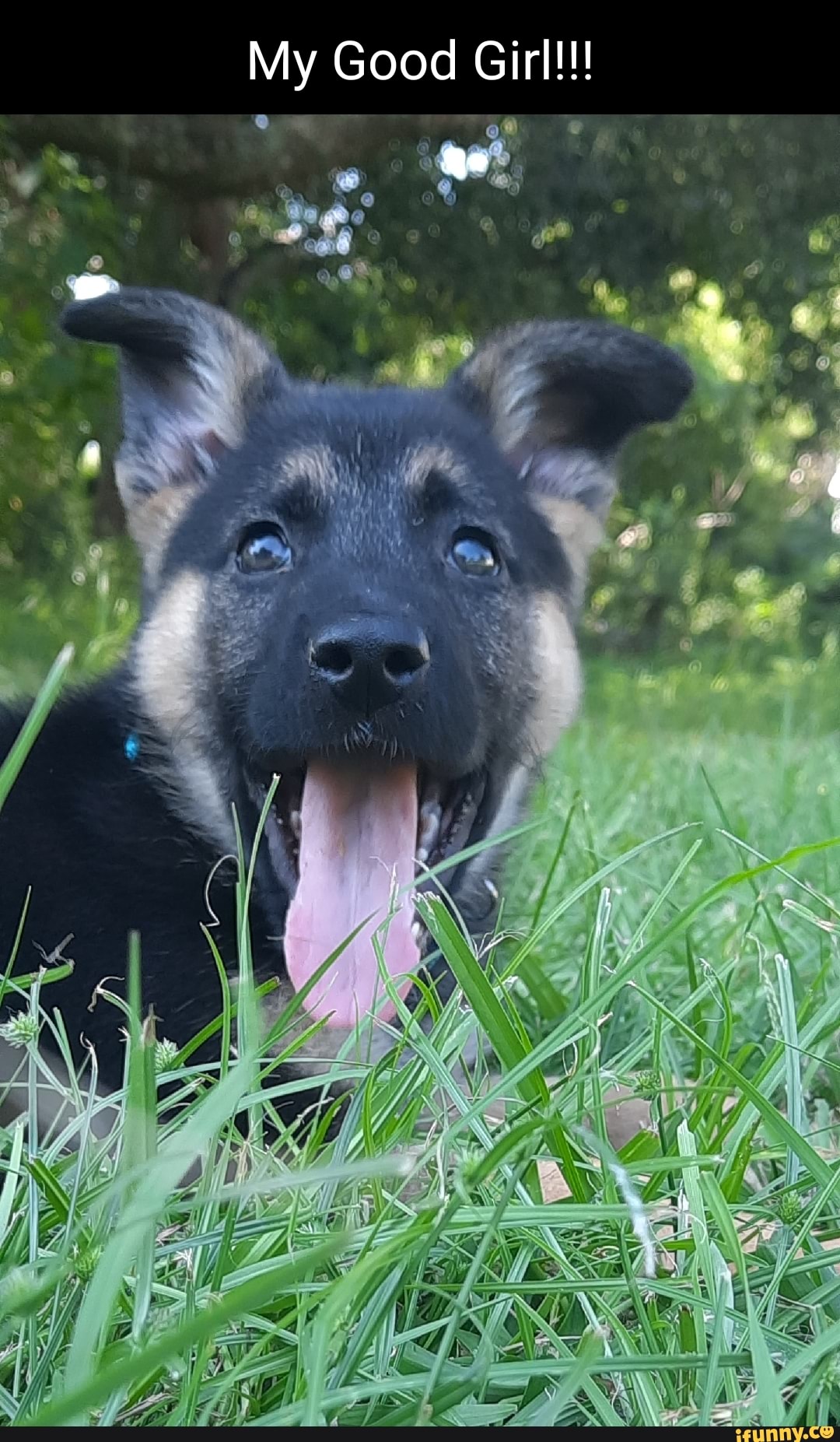 German Good Girl Telegraph