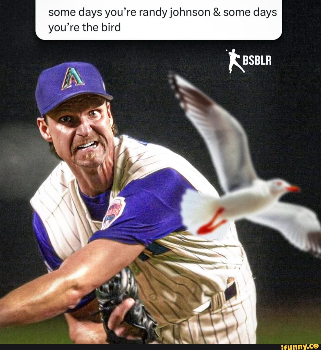 Some days you're randy johnson & some days you're the bird Resin - iFunny