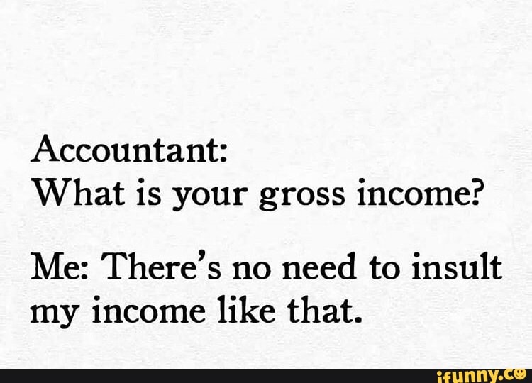 Accountant: What is your gross income? Me: There's no need to insult my ...