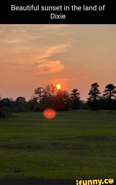 Dixie memes. Best Collection of funny Dixie pictures on iFunny