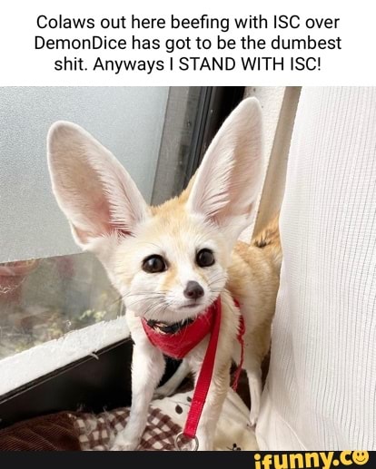 Colaws out here beefing with ISC over DemonDice has got to be the ...