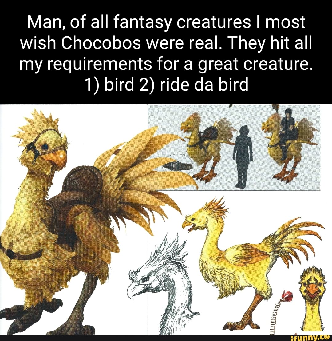 Chocobos memes. Best Collection of funny Chocobos pictures on iFunny