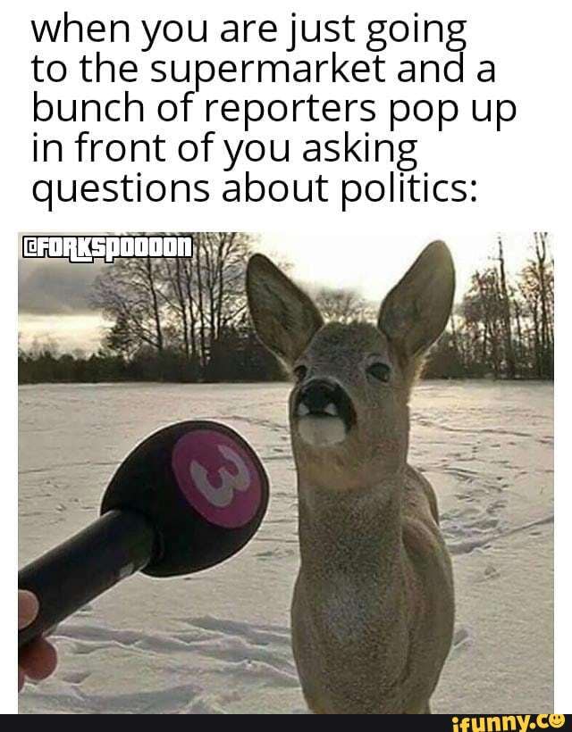 When you are just going to the supermarket and a bunch of reporters pop ...