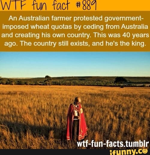 Wheat memes. Best Collection of funny Wheat pictures on iFunny