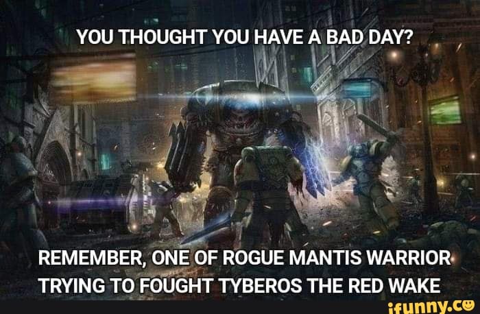 YOU THOUGHT YOU HAVE A BAD DAY? REMEMBER, ONE OF ROGUE MANTIS WARRIOR ...