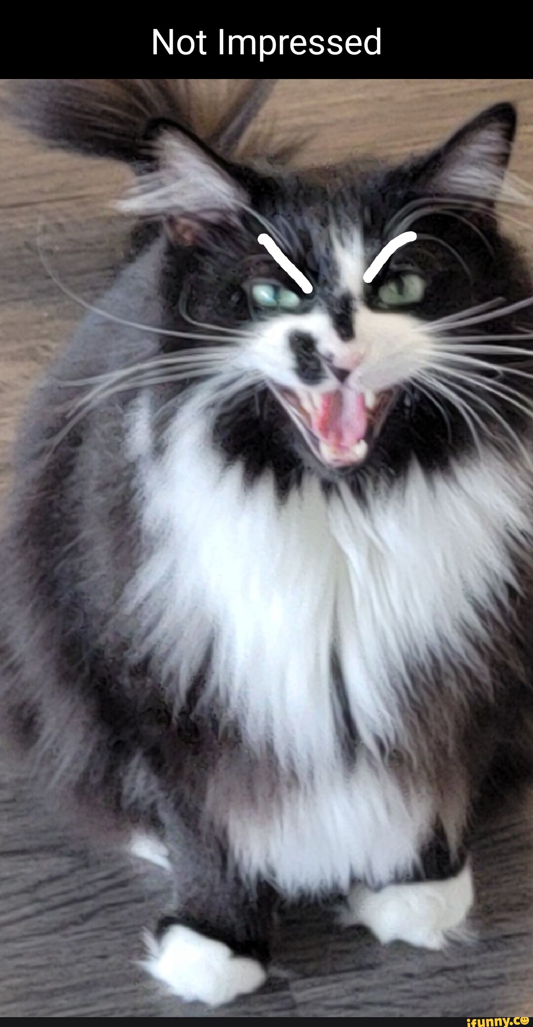 Impressed memes. Best Collection of funny Impressed pictures on iFunny