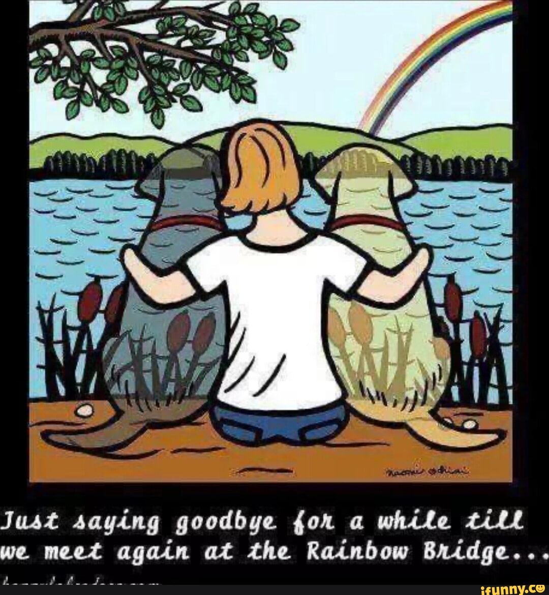 Rainbow memes. Best Collection of funny Rainbow pictures on iFunny