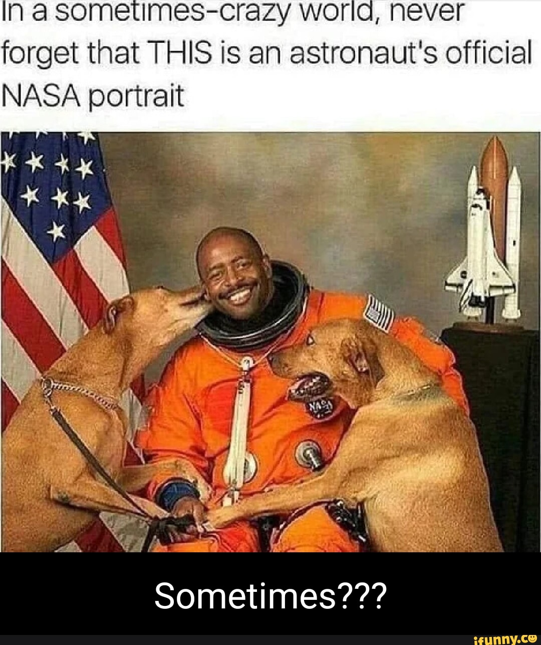 Portrait memes. Best Collection of funny Portrait pictures on iFunny