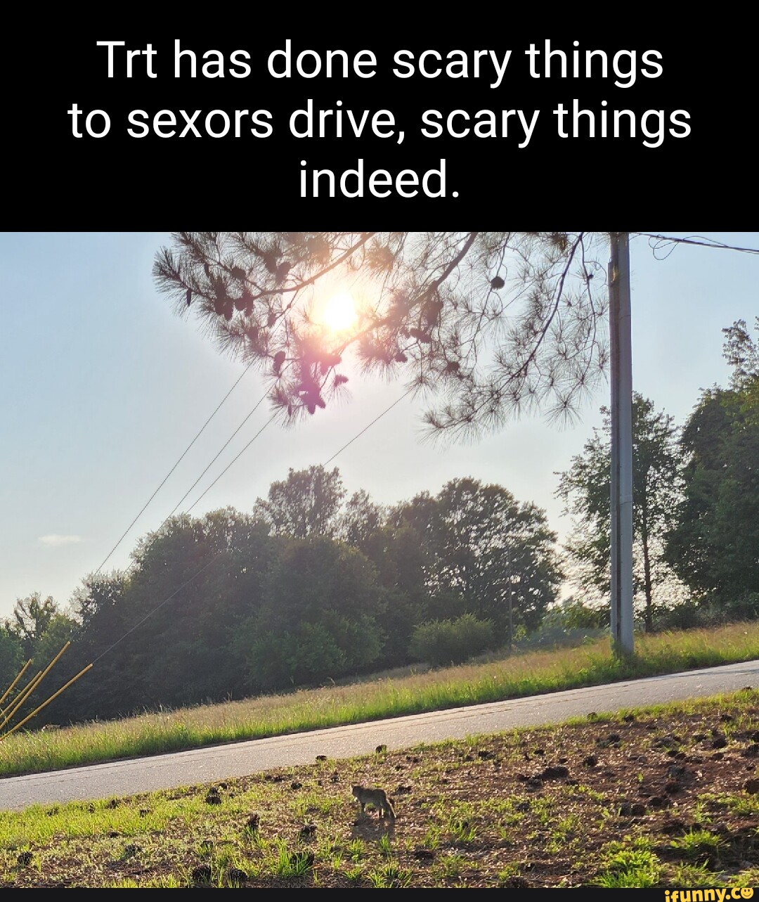 Trt memes. Best Collection of funny Trt pictures on iFunny