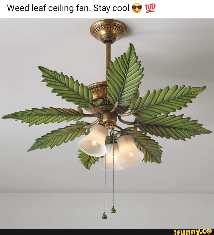 Weed leaf ceiling fan. Stay cool - iFunny