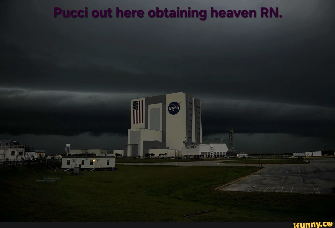Pucci memes. Best Collection of funny Pucci pictures on iFunny