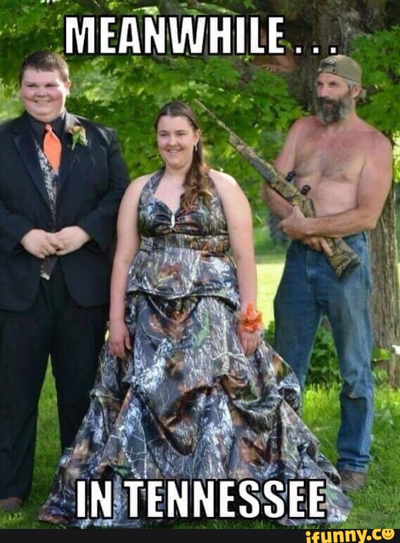 -MEANWHILE... IN TENNESSEE - iFunny