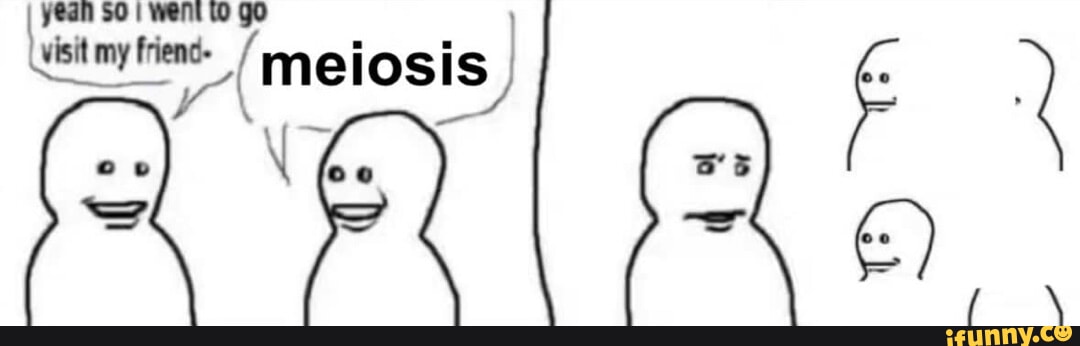 Meiosis memes. Best Collection of funny Meiosis pictures on iFunny