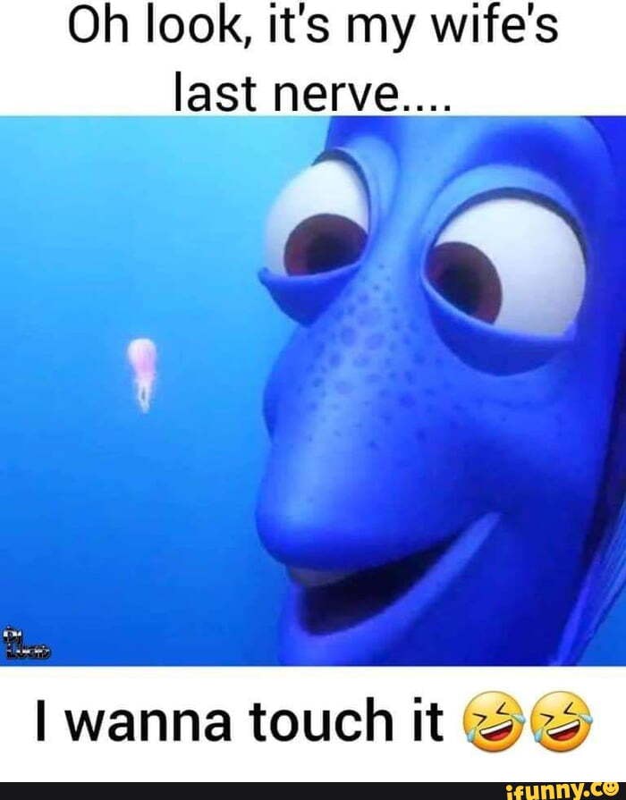 Last_nerve memes. Best Collection of funny Last_nerve pictures on iFunny