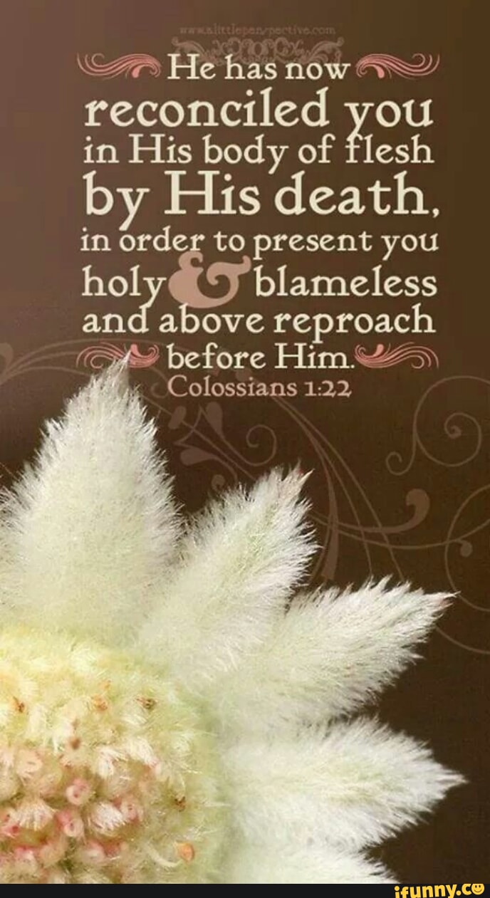 Reproach memes. Best Collection of funny Reproach pictures on iFunny