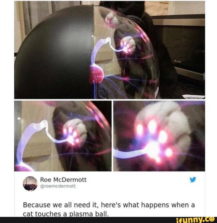 Roe McDermott Because we all need it, here's what happens when a - iFunny