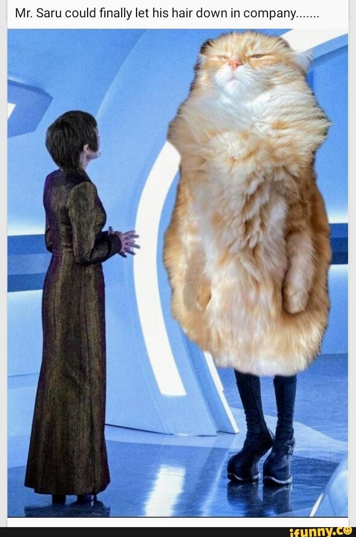 Star Trek discofurry - Mr. Saru could finally let his hair down in ...