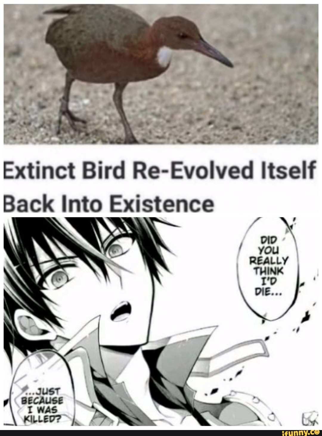 Extinct Bird Re-Evolved Itself Back Into Exitence - iFunny