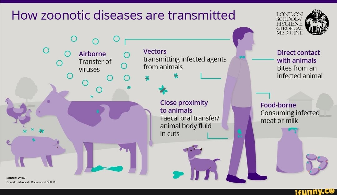 How zoonotic diseases are transmitted A o O Airborne Fo AA O MIN ...