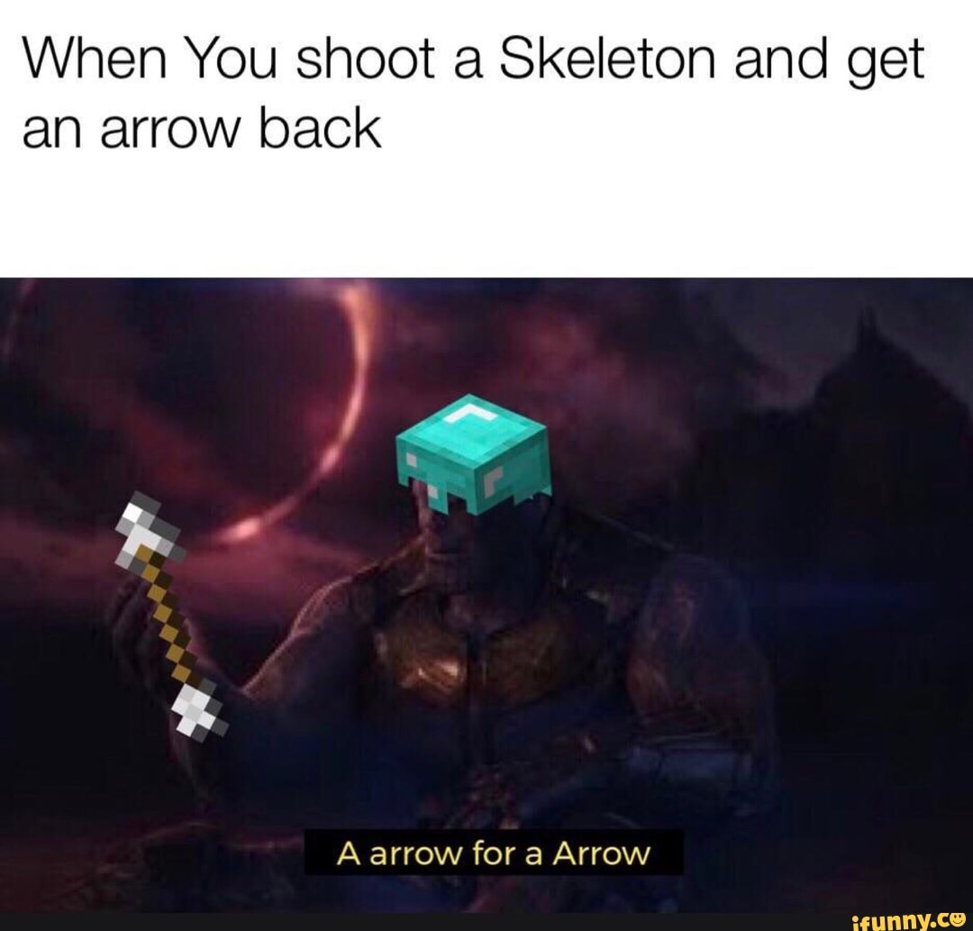When You shoot a Skeleton and get an arrow back A arrow for a Arrow ...