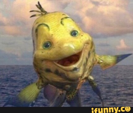 Phish memes. Best Collection of funny Phish pictures on iFunny