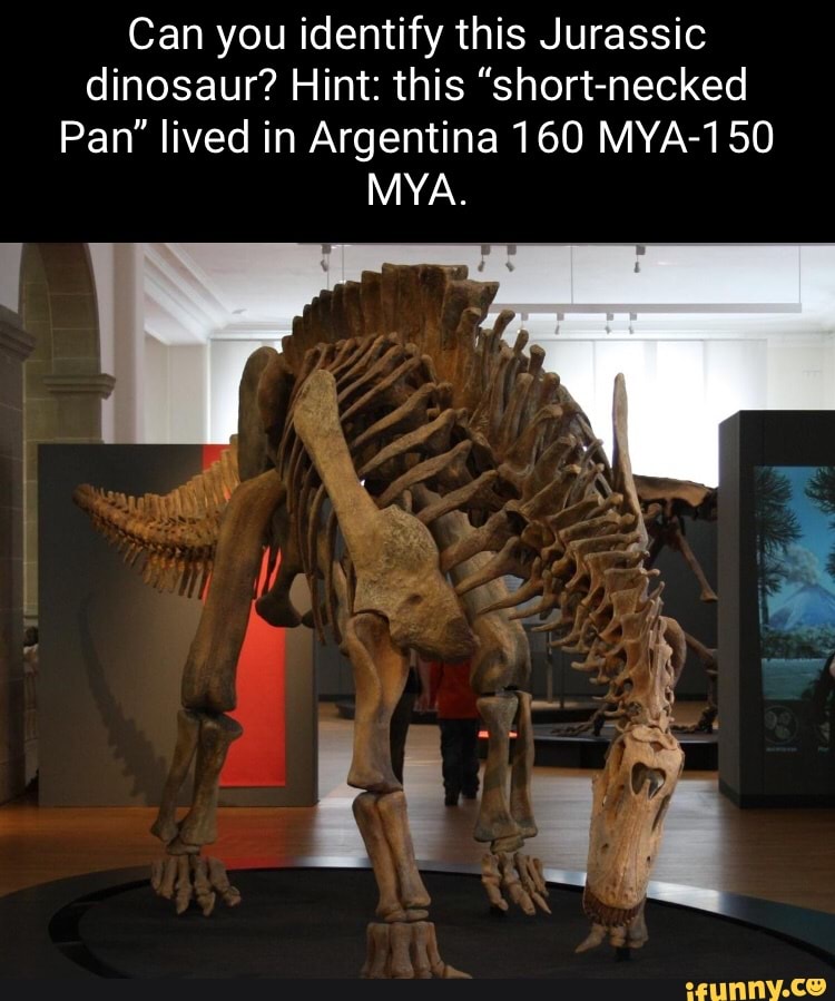 Can you identify this Jurassic dinosaur? Hint: this "short-necked Pan ...