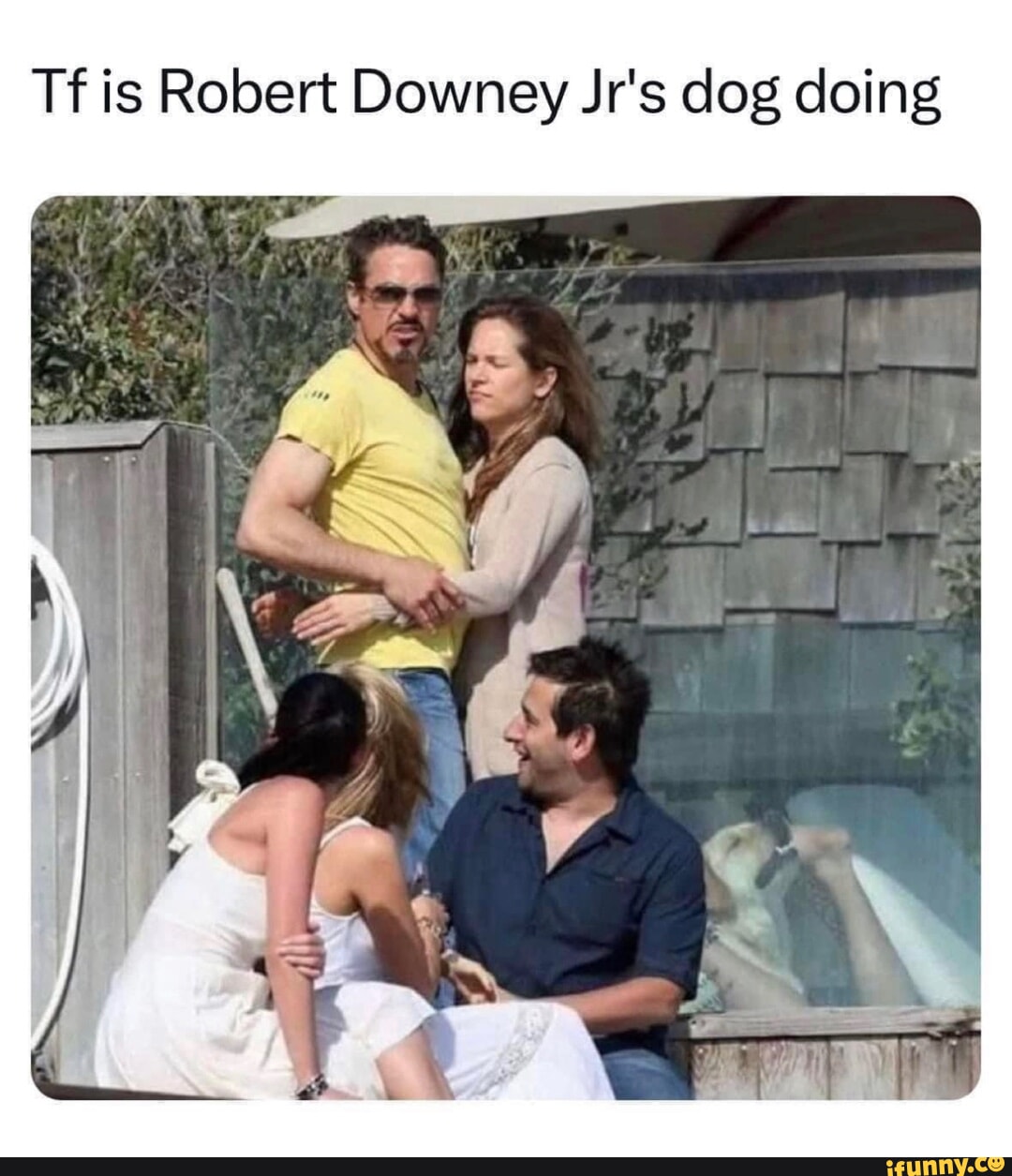 Tf is Robert Downey Jr's dog doing - iFunny