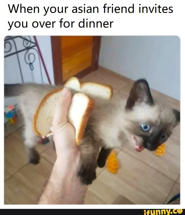 When your asian friend invites you over for dinner - iFunny