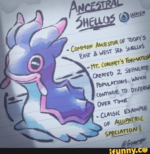 Shellos memes. Best Collection of funny Shellos pictures on iFunny