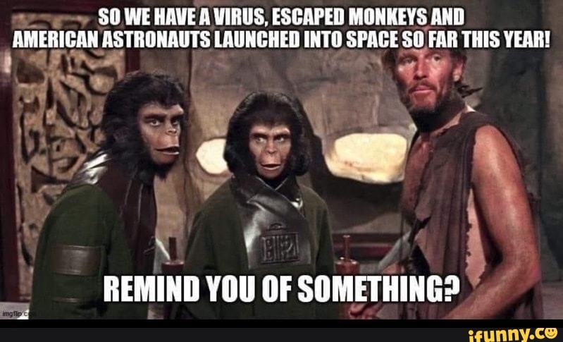 Pican memes. Best Collection of funny Pican pictures on iFunny