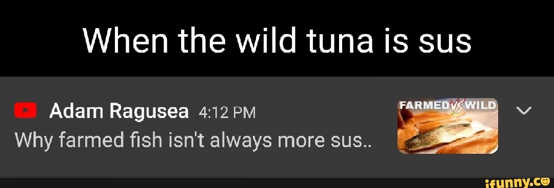 When the wild tuna is sus Adam Ragusea Why farmed fish isn't always ...